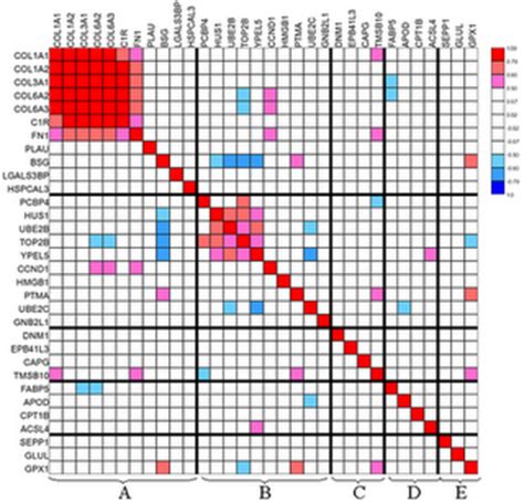 Map Analysis Correlation Matrix