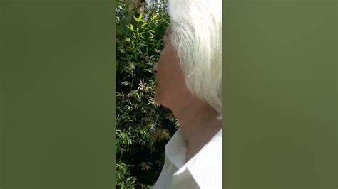 자연과 인간 관계 Youtube