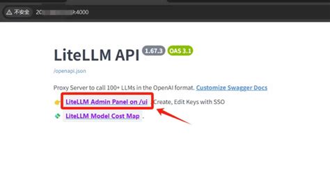 open webui litellm 实现大模型用量的控制 配置ssl证书给litellm 泰科之家