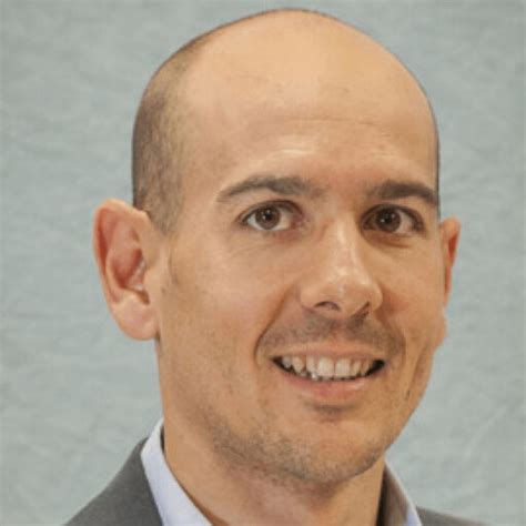 David Saez University Of Alcalá Alcalá De Henares Uah Department Of Legal Sciences