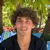 Gibson Ardoline Youtube