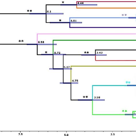 A Calibrated Evolutionary Time Tree Based Mitochondrial Cytb Gene