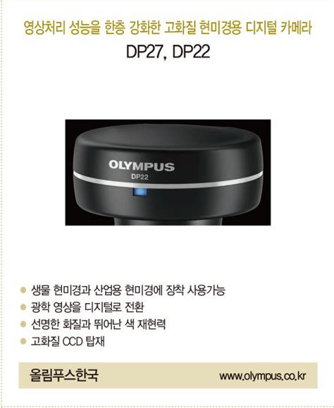 비전시스템