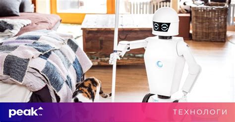 Роботууд ирэх 10 жилд гэрийн ажлын 40 хувийг хийдэг болно Peak News