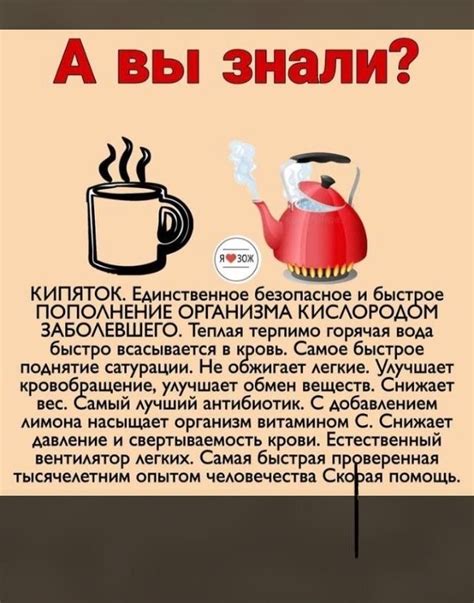 Pin von Натали Шаблыко auf здоровье | Gesunde ernährung tipps, Ratgeber ...