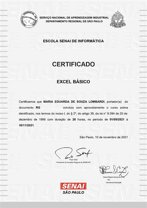 esse ano consegui realizar o curso de excel básico na escola senai de