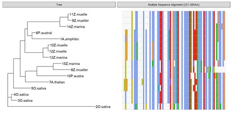 Visualising Msas