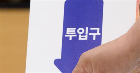 투표를 하는 아름다운 손