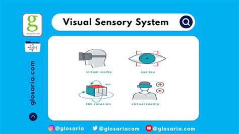Contoh Aplikasi Visual Sensory System Dalam Bidang Packaging