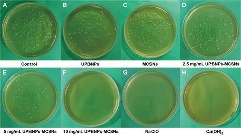 Antibacterial Activity Of The Materials Against Planktonic E Faecalis