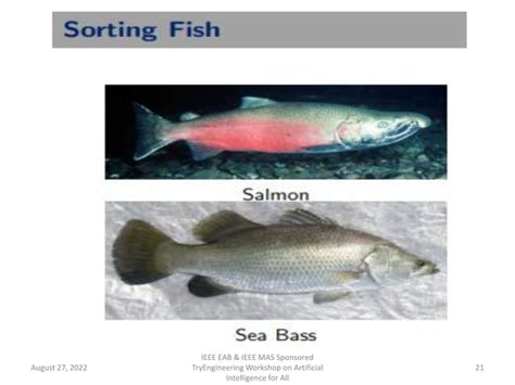 Introduction To Artificial Neural Networks Part Ipdf