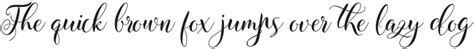 Amigirl Script Script Fonts ~ Creative Market