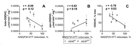 Correlations Between The Cellular Nadphxtt Reductase Activity And