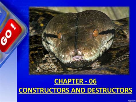 Chapter 06 Constructors And Destructors Ppt