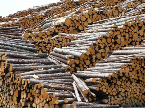 Tweaking Your Ui Automation Logs With Selenium Appium Slf4j Logback… By Martin Schneider