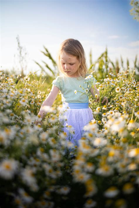 경치 경치가 좋은 계절 고요한 고요함 국가 금발 꽃 꽃무늬 꽃을 들고 꽃잎 녹색 농촌 풍경 농촌의 대기의 들판 러스틱 목가적인 봄 부드러운