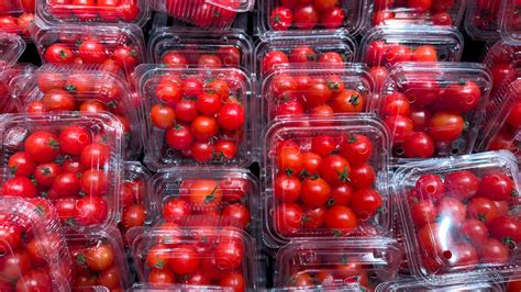 Biological Sex Is More Complex Than Just Male Or Female