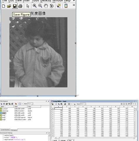 数字图像处理常用数据集资源预览 下载 程序员大本营