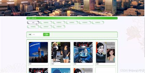 （开题报告）django vue的新闻信息发布系统源码 论文 csdn博客
