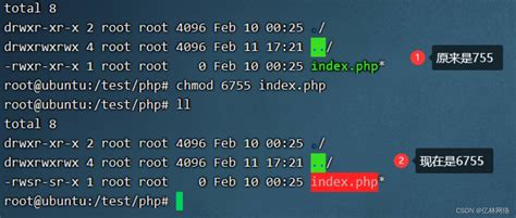 linux特殊权限