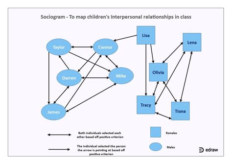 Sociogram Template Campaign Planning Template