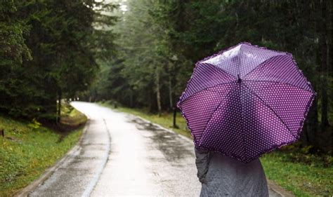 Не одете никаде без чадор попладне ќе врне дожд
