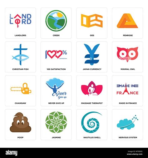 Set Of 16 Simple Editable Icons Such As Nervous System Nautilus Shell