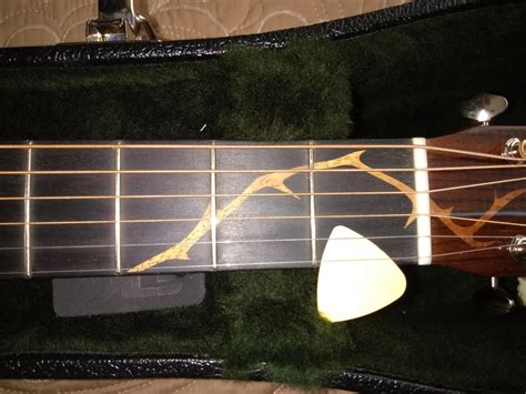 Martin Guitar Crown Of Thorns Bluegrass Music Spoken Here