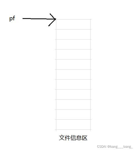 文件操作指南：数据持久化与文件管理 csdn博客