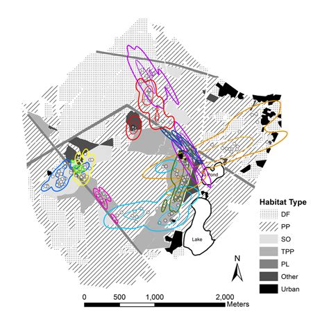 Ninety Five Percent And 50 Fixed Kernel Utilization Distributions Ud Download Scientific