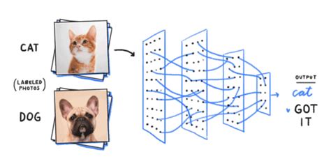 When To Use Data Science In Seo Ipnet