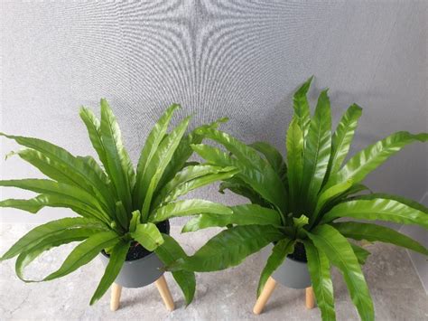 셀프세차장 공사과정이 궁금하신가요 네이버 블로그