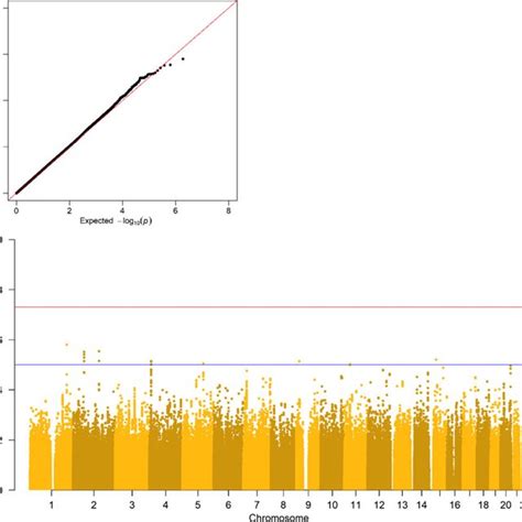 A Q Q Plot And B Manhattan Plot Of P Values Of The Genomewide Download Scientific Diagram