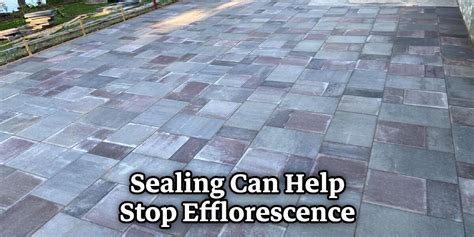 How To Seal Pavers To Prevent Weeds Step By Step 2025