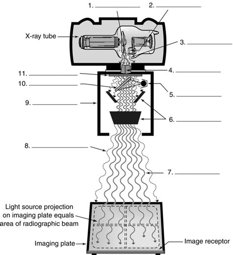 X Ray Tube Collimator And Image Receptor Diagram Diagram Quizlet
