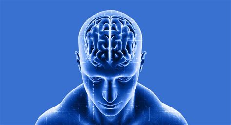 Pattern Recognition Why The Human Brain Seeks Meaning Everywhere