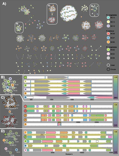 Plasmid Sharing Among Bacteria Within And Between Hosts A Plasmid Download Scientific Diagram