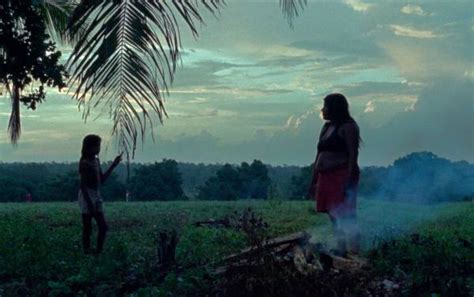 A Flor De Buriti Fará Estreia No Festival De Cannes Audiência Da Tv