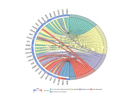 Cox构建预测模型（1）：复现seer数据库文献解读 知乎