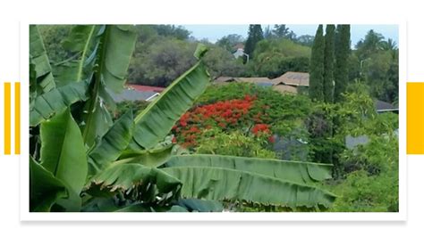 Curso Gratis En Udemy Aprende Sobre El Cuidado De La Salud