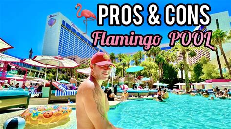 Pros And Cons Flamingo Pools Youtube