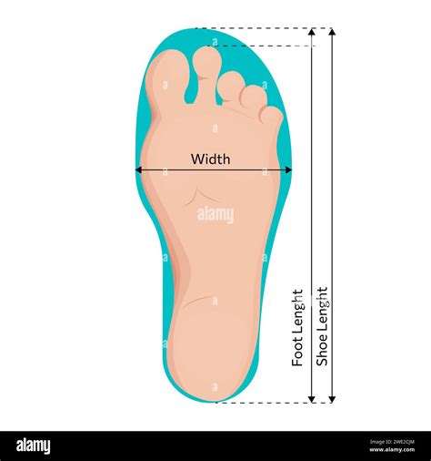 How To Know Your Exact Foot Size At Brooke Aunger Blog