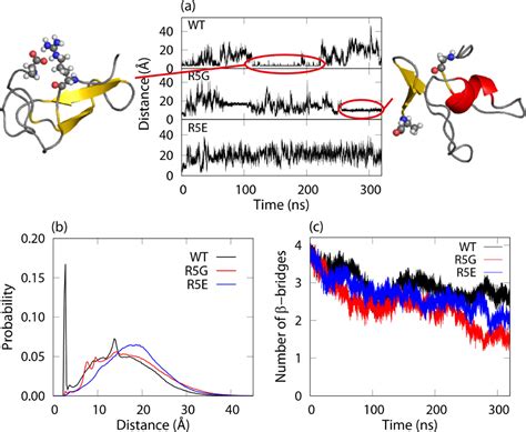 Key Residue For Aggregation Of Amyloid β Peptides Acs Chemical Neuroscience