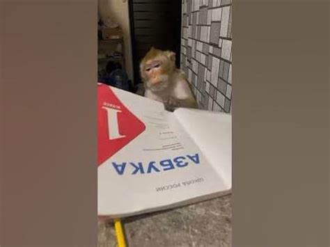 Учимся Читать - YouTube