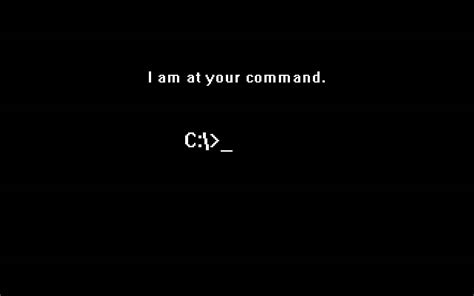 200 4k Programming Wallpapers