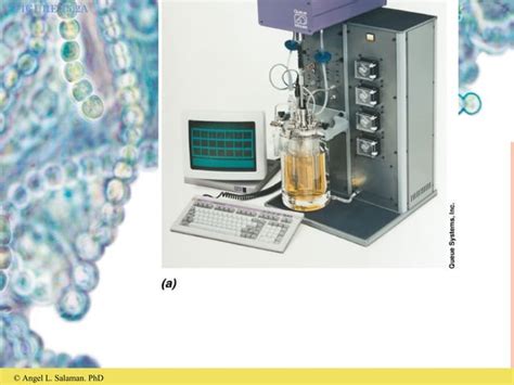 Isolation And Screening Of Secondary Metabolites Ppt Chemistry