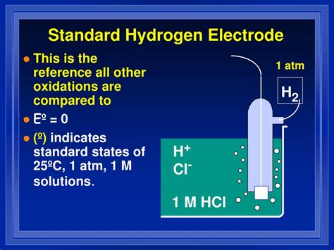 Explain Standard Hydrogen Electrode With Labelled Diagram At Tracy