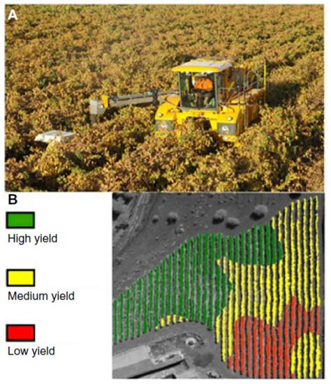 Agricultural Production Precision Mapping