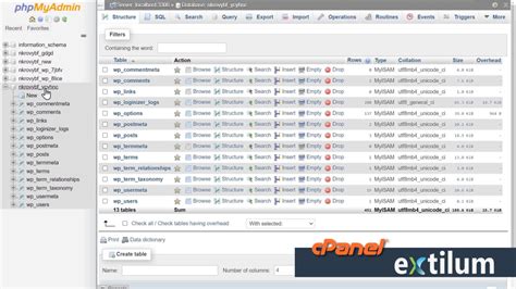 Export A Database Cpanel • Extilum Knowledgebase