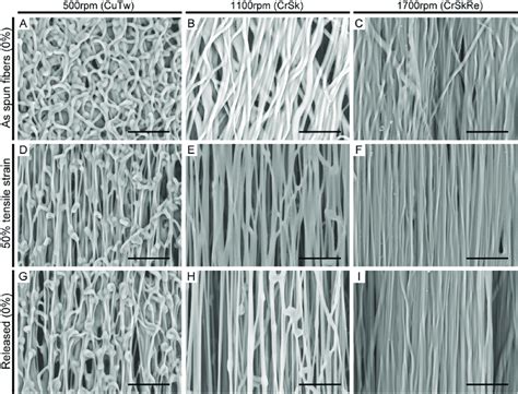 Sem Micrographs Of Electrospun Piezoelectric Fibers Where A−c Are Download Scientific
